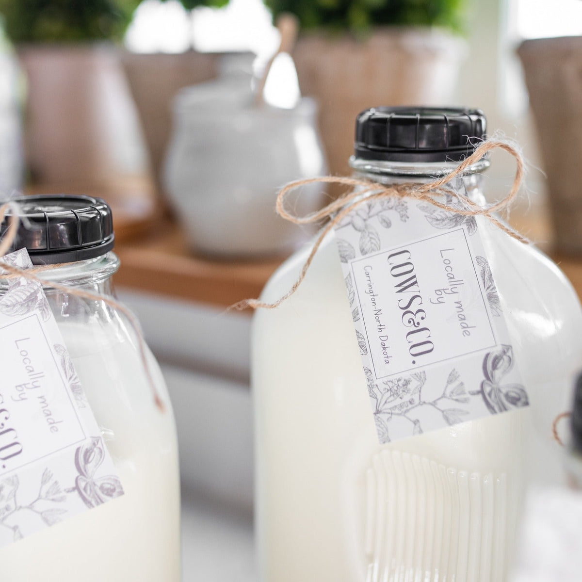 Pre-Order & Local Pick-Up - Christmas Pre-Order is CLOSED | Cows and Co ...